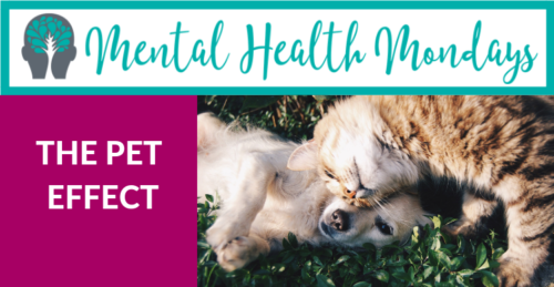 The Pet Effect