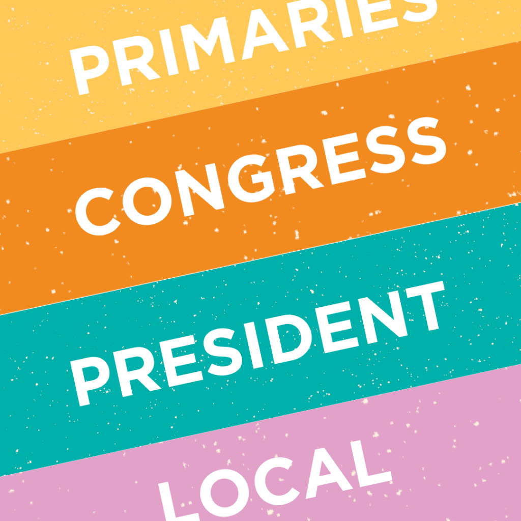 The Different Types of Elections